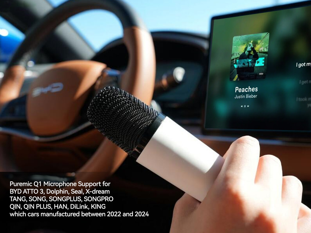 BYD Original Car Microphone with Receiver Car Karaoke Mic for Dolphin ...