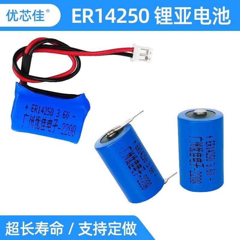 er14250 Lithium Sub-Battery ETC Charging System Industrial Control PLC ...