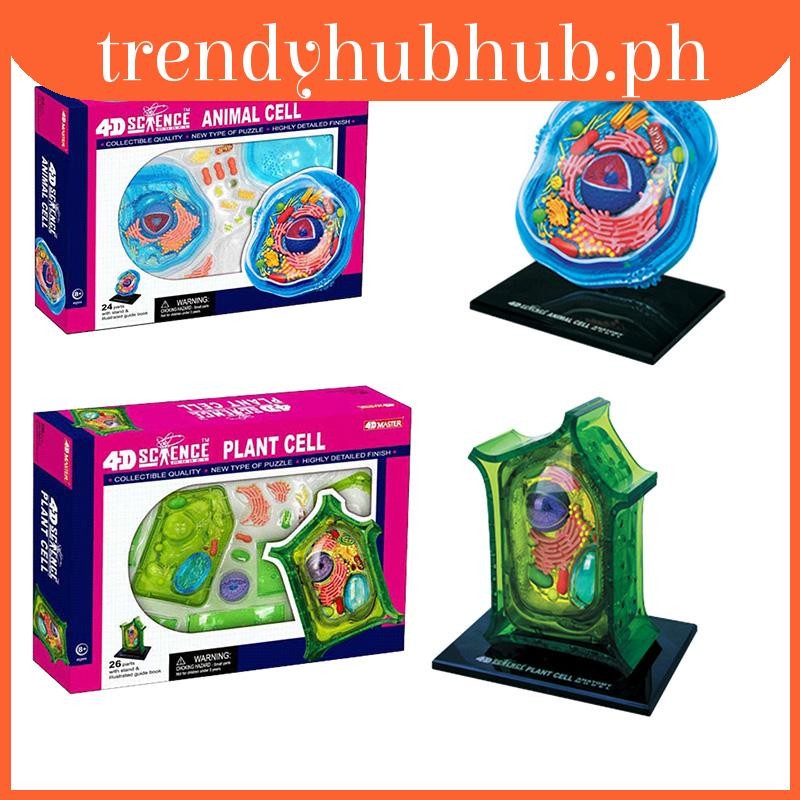Master 4d Animal Cell Plant Cell Model Microstructure For Teaching Structure Microscopic Biology ...