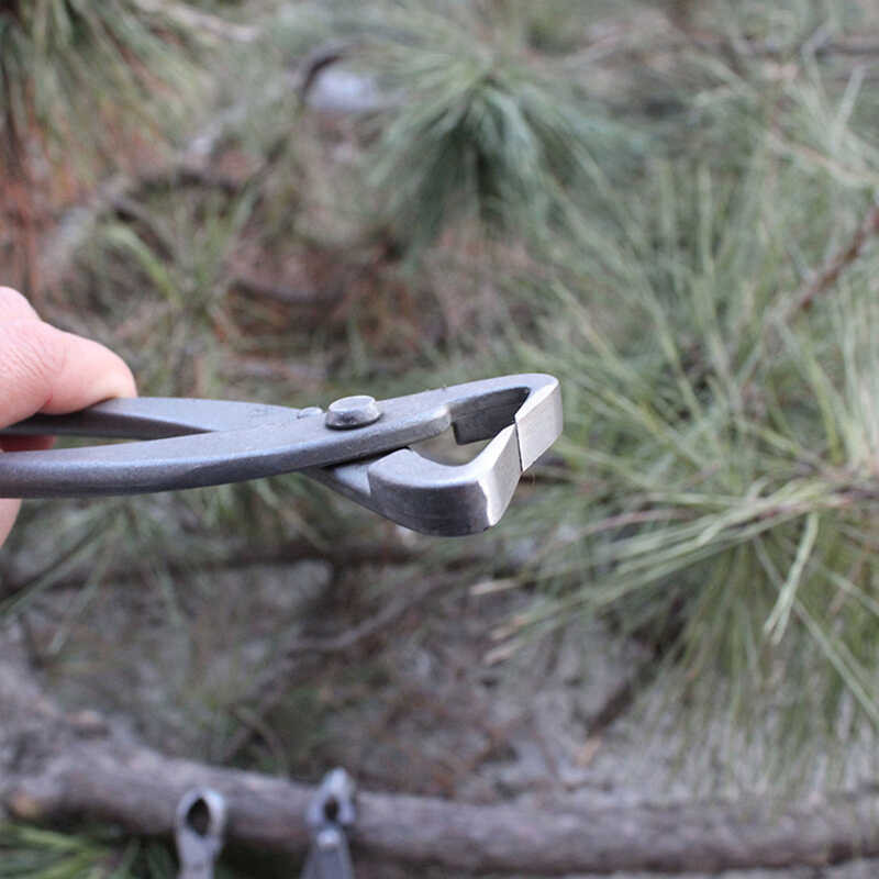 SK Knob Concave Edge Cutter Root Cutting Pliers Ball Shear Scissors ...