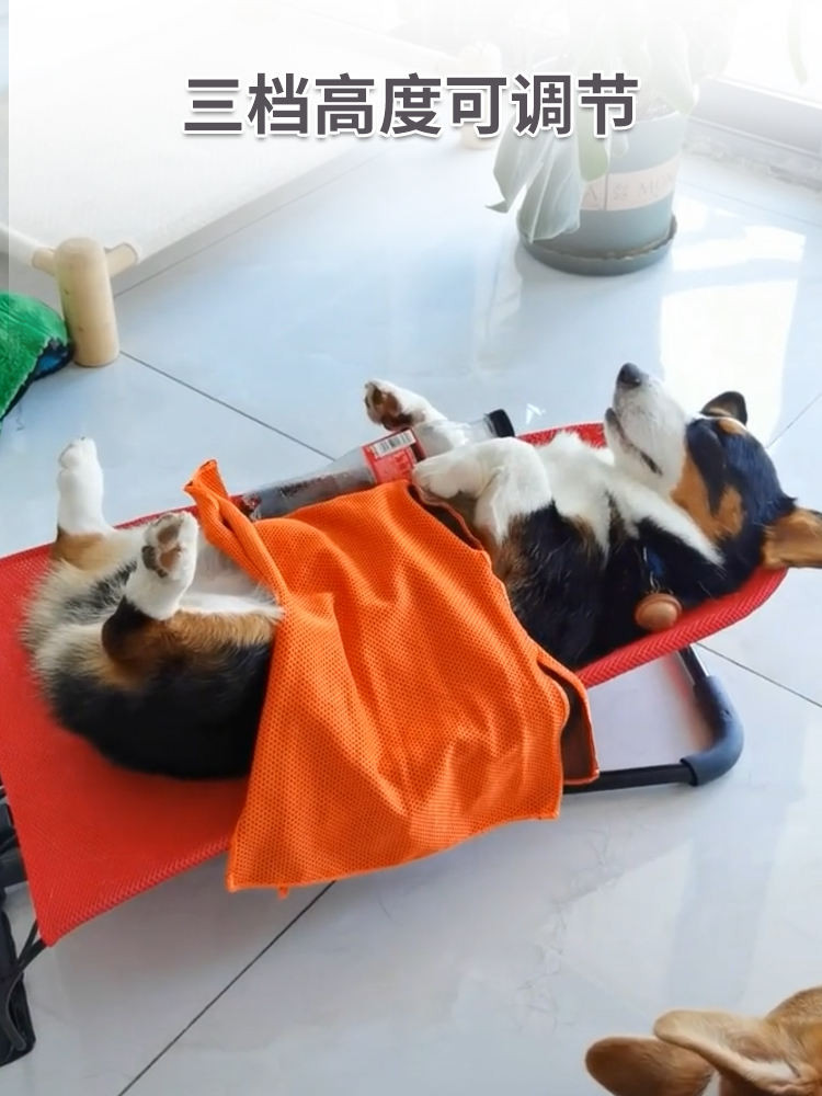 Pet Rocking Bed Spring Bed French Dog Teddy Dog sunbathing Sofa Bed Off ...