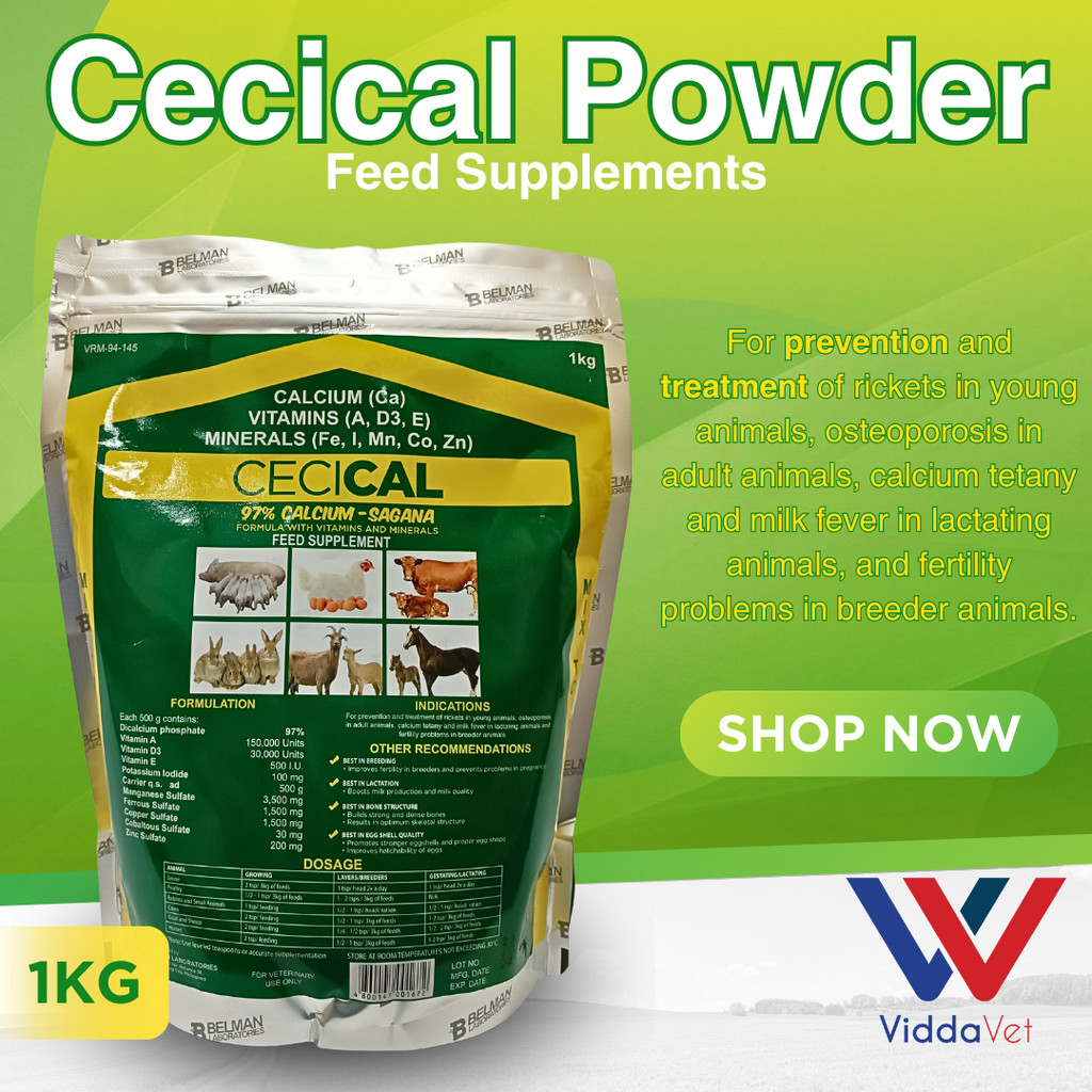 1kg Cecical Powder (Calcium) Feed Additive (Vitamin & Minerals) for ...