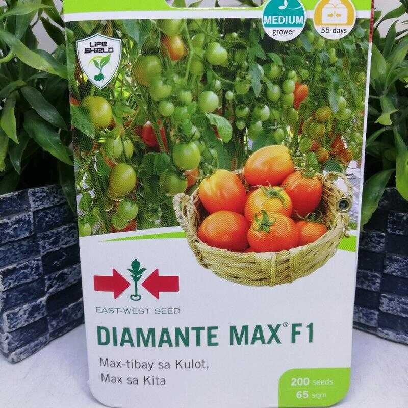 Tomato Diamante Max East West Seeds Small Pouch | Shopee Philippines