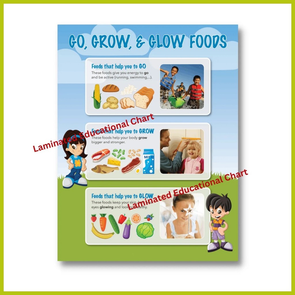 ∬ Laminated Go, Grow & Glow Foods Chart for Kids, Learners and ...