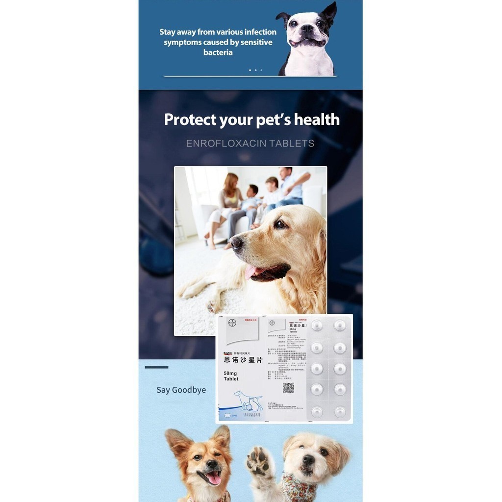 BAYTRIL Flavor Antibiotic Tablet for Dog and Cat for Post-operative ...
