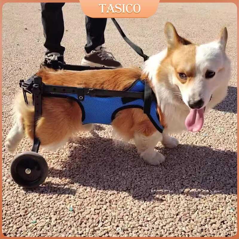 Wheelchair Tasico Back Hind Legs Bracket Dog Carts With Wheels Leg ...