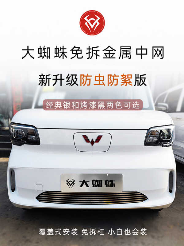 2025 Wuling Zhiguang EV New Energy Insect Prevention Net Front Face ...