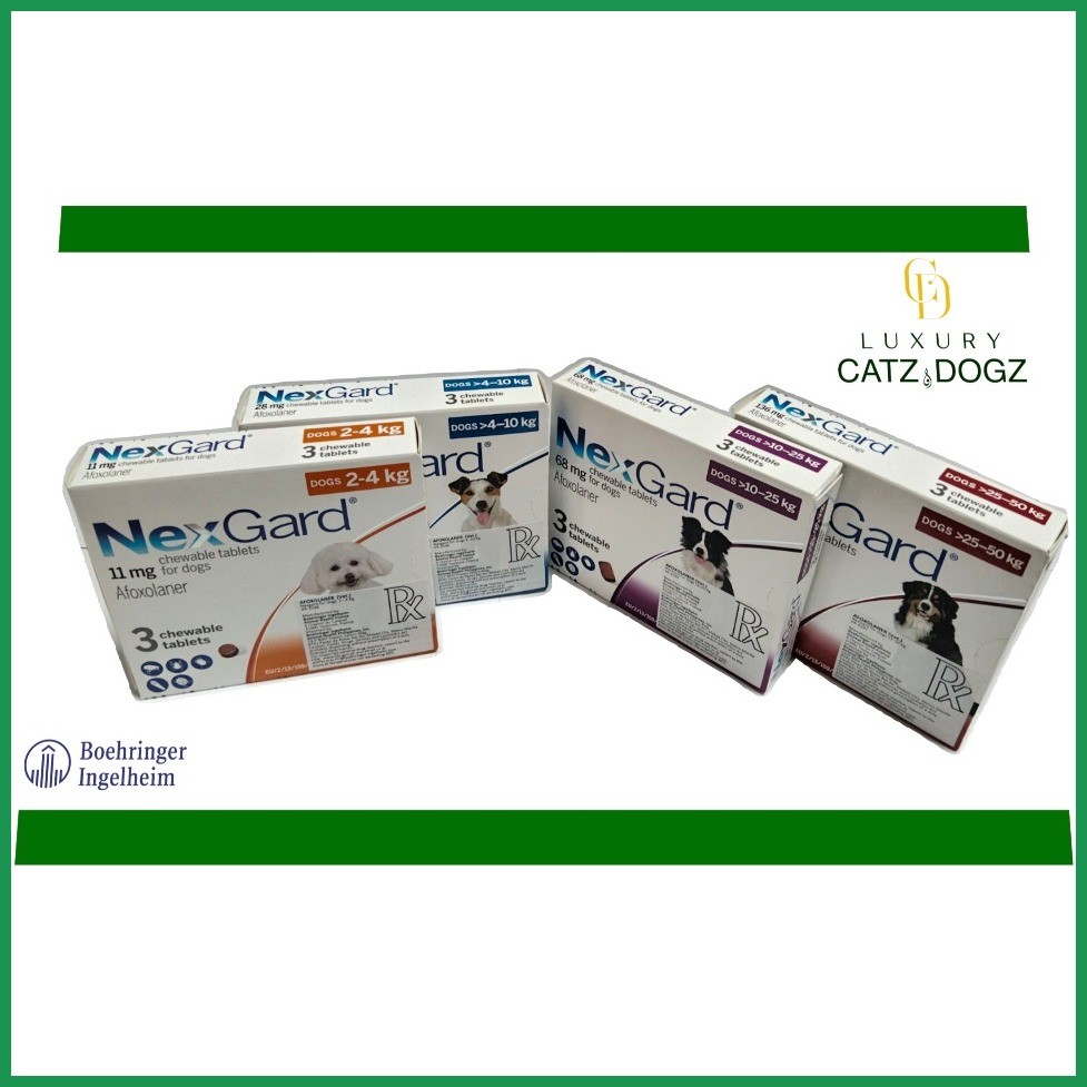 NexGard and NexGard Spectra Chewables per Box Original | Shopee Philippines