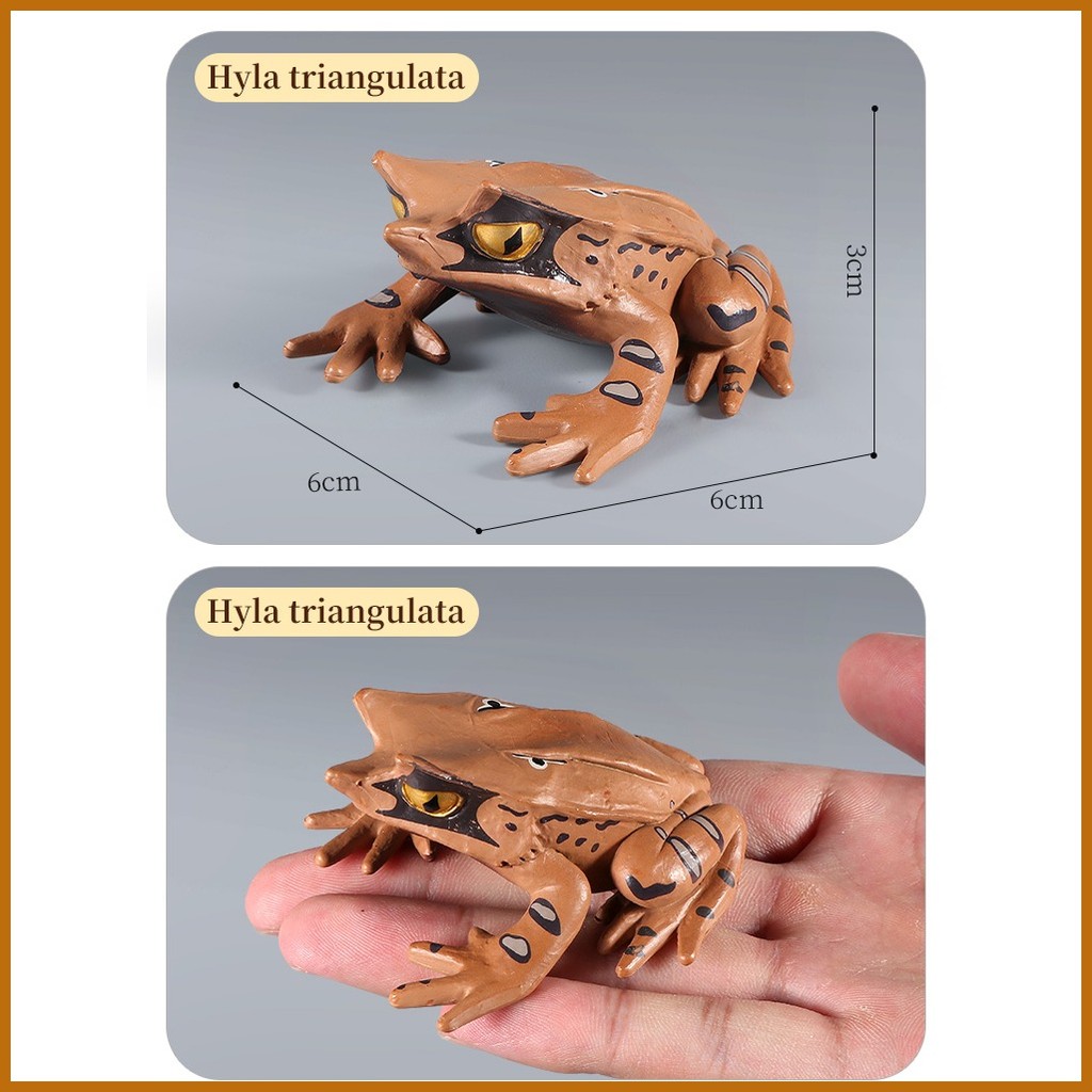 ∮ Realistic Wild Amphibian Action Figures Treefrog Bullfrog Toadfrog ...