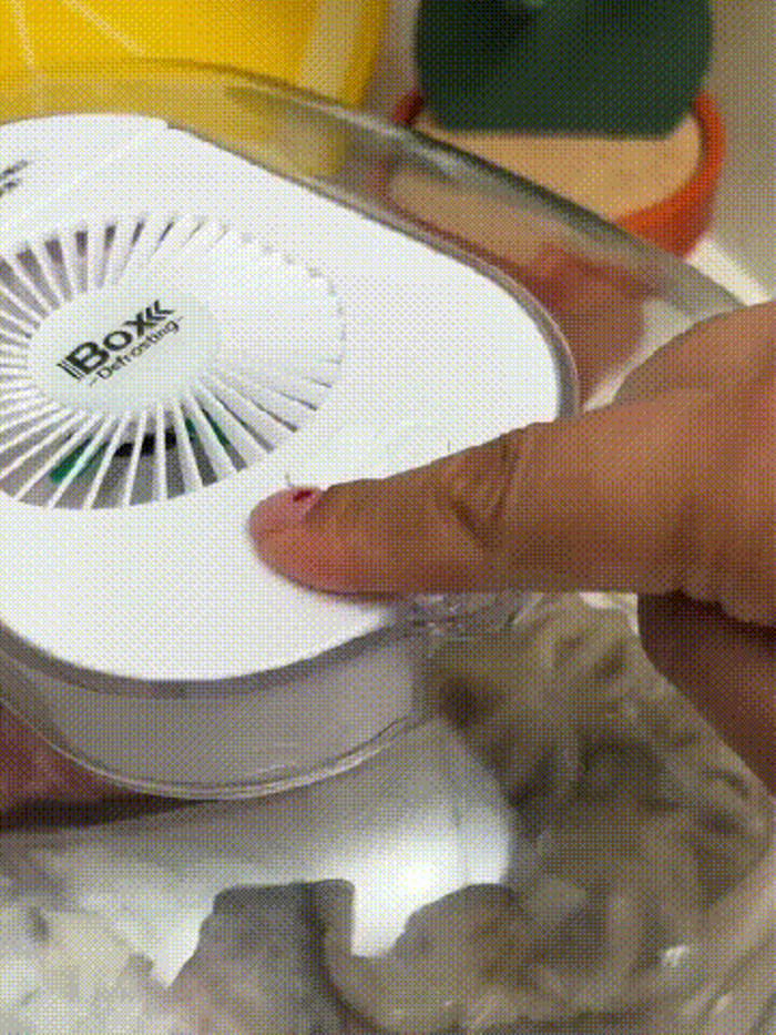 【6-In-1 Atomized Quick Thawing Artifact】Atomizing Thawing Machine ...