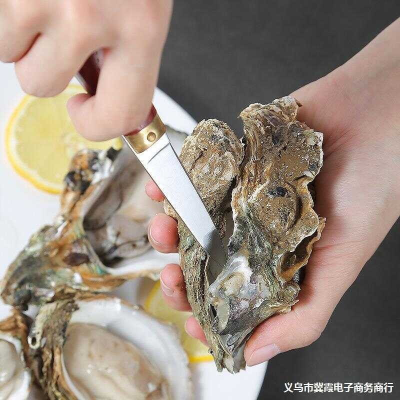 Oyster Knife, Oyster Opener, Oyster Barbecue Tool, Thick Wooden Handle ...
