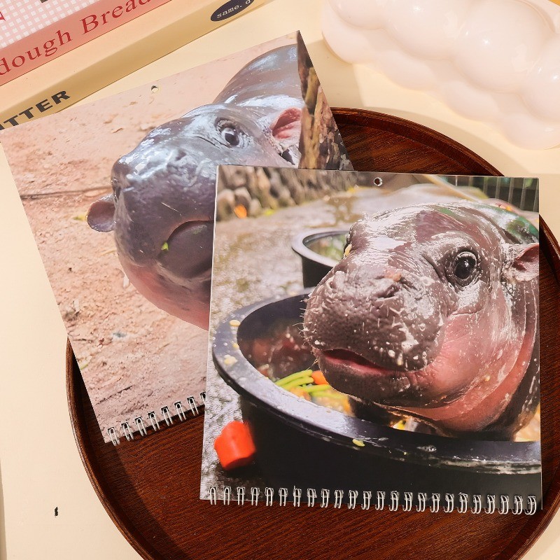 2025 Fun Cute Internet Celebrity Dwarf Hippopotamus Calendar- Modern ...