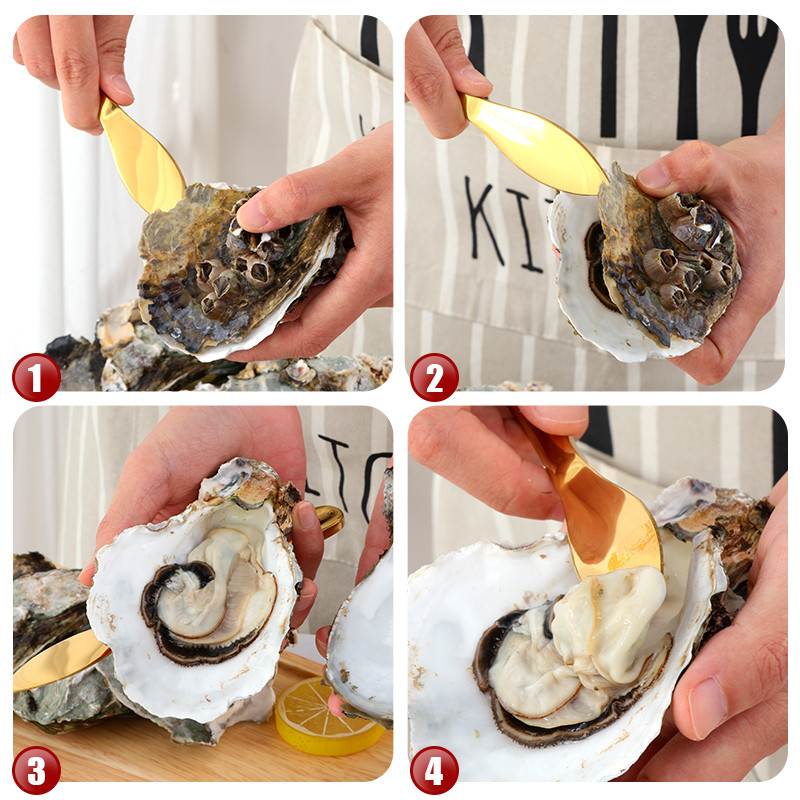 Stainless Steel Oyster Sheller Scallop and Oyster Sheller Tool | Shopee ...