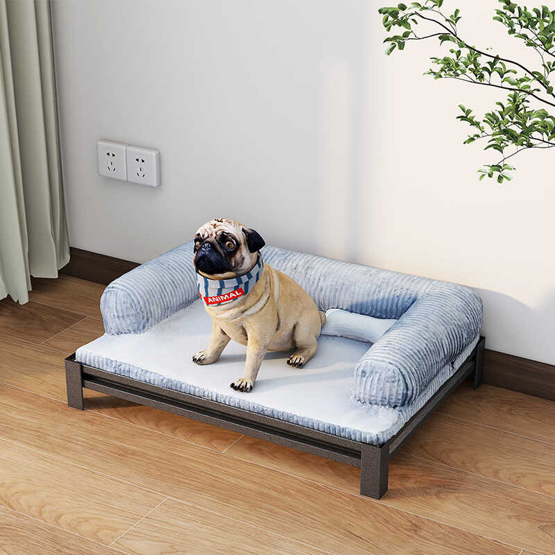 55 Cute Tulong Aso, Inalis At Hugasan, Angkop Para Sa Lahat Panahon ...