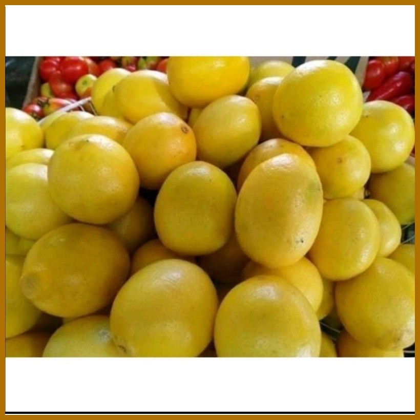 fresh lemon yellow 500 g | Shopee Philippines