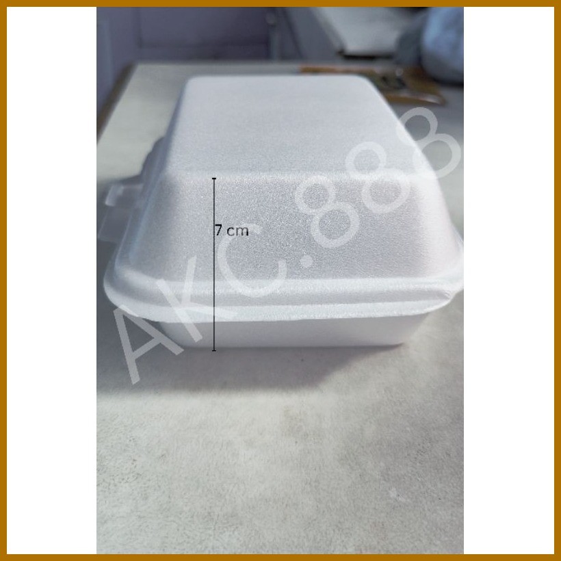 50 PCS - NOODLE BOX STYRO - DISPOSABLE STYRO, FOOD STYRO, MEAL BOX ...