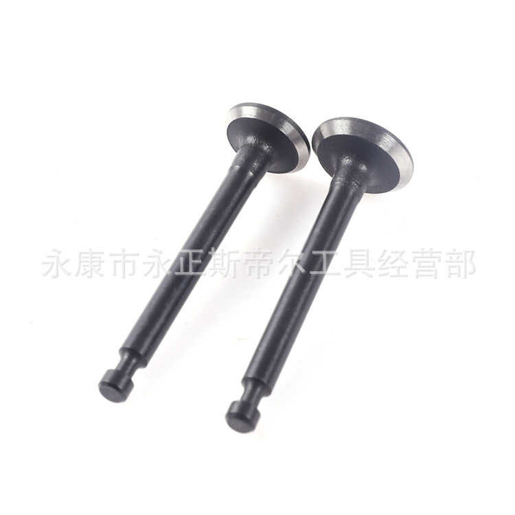 Zongshen S35 small cyclone valve (two in one set) | Shopee Philippines