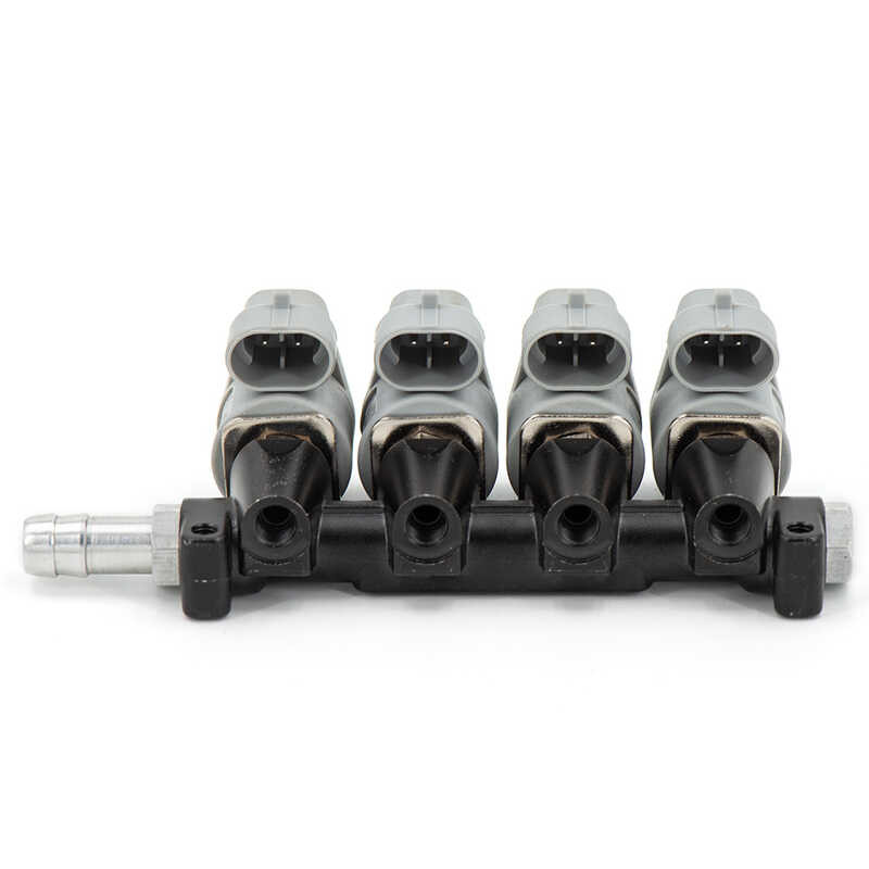 LY 2/3 Ohm Car Lpg/Cng Sequential Fuel System Injection Auto Gas ...