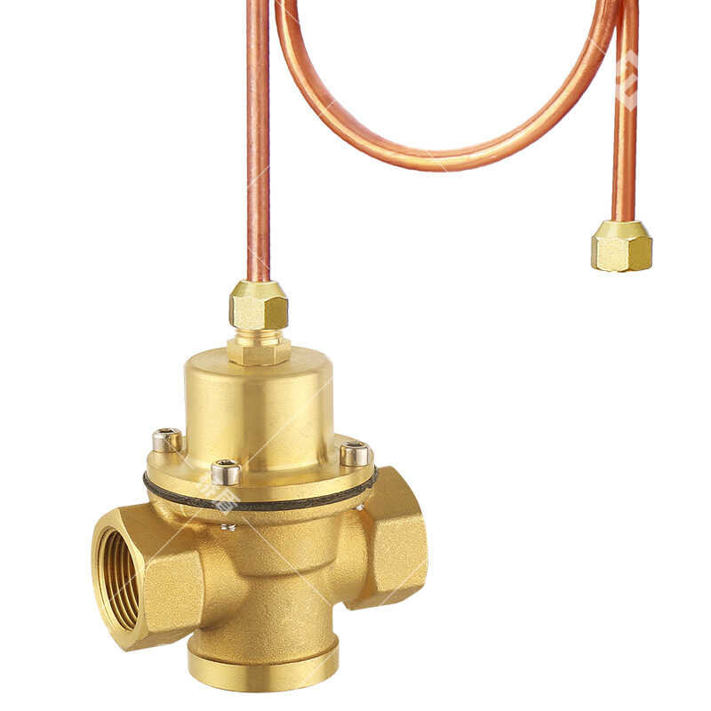 Bridge Shield Valve Brass Differential Pressure Valve With Purple ...