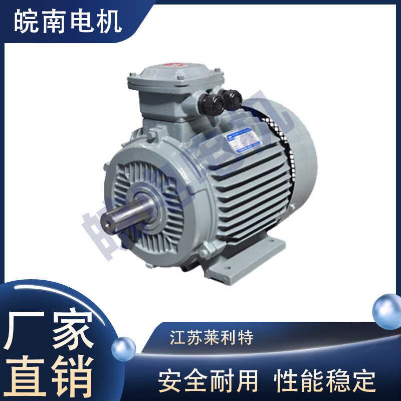 Anhui Wannan Male Motor YFB3 Series High Efficiency Dust Explosion proof Three phase Asynchrono ...