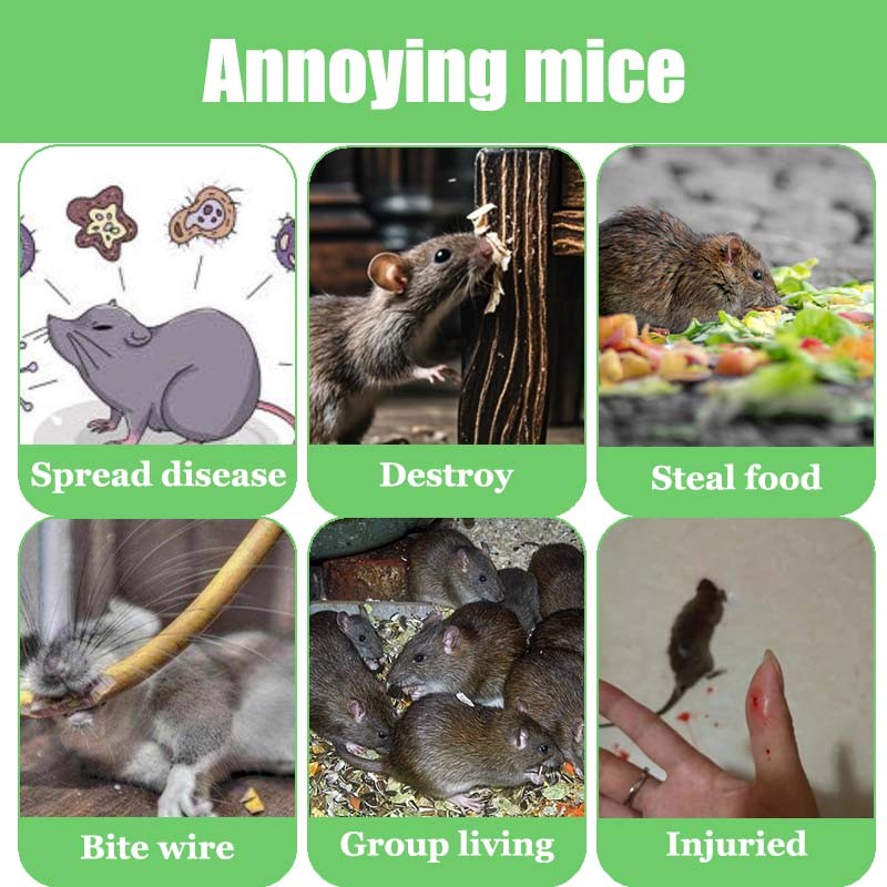Rat killer poison for cockroaches and rats Long Acting Rat Repellent ...