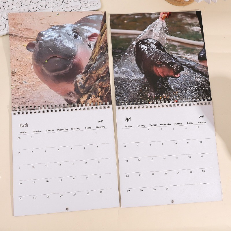 Fashion Creative Moo Deng New Year Calendars 2025 New Dwarf ...