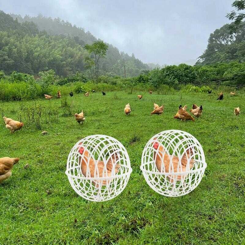Movable 3 Pieces Orb Pet Safety Ball-Shaped Chicken Hamster Ball Cage ...