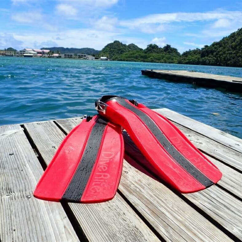 Professional COD Snorkeling Flippers DIVE RITE XT FIN Technical ...