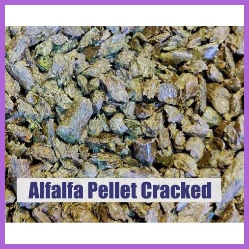 Alfalfa Cracked Pellets for Rabbits and Guinea Pig (1 Sack - 20G ...