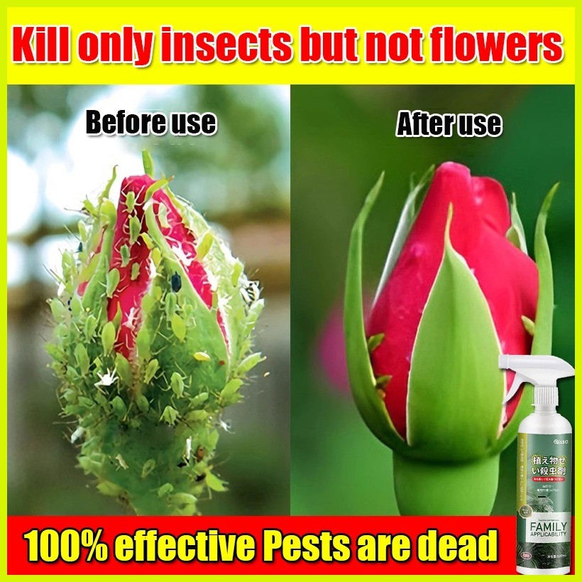 Flower insecticide Spray Aphids Mites Thrips insecticide Pesticides for ...