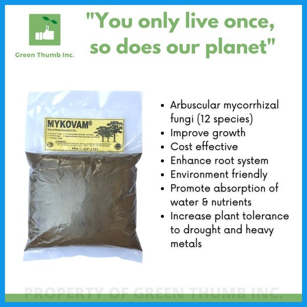 MYKOVAM/MYKOCAP biofertilizer mycorrhizal (All types of plants except ...