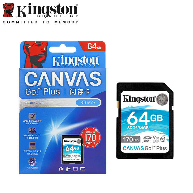 Kingston Original Canvas Go Plus SD Memory for DSLRs Mirrorless Cameras ...