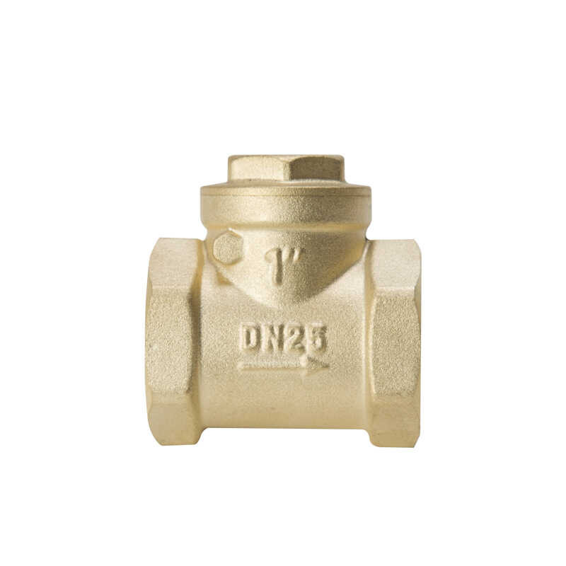 Brass Thickened Horizontal Check Valve, Check Valve, One-Way Valve ...