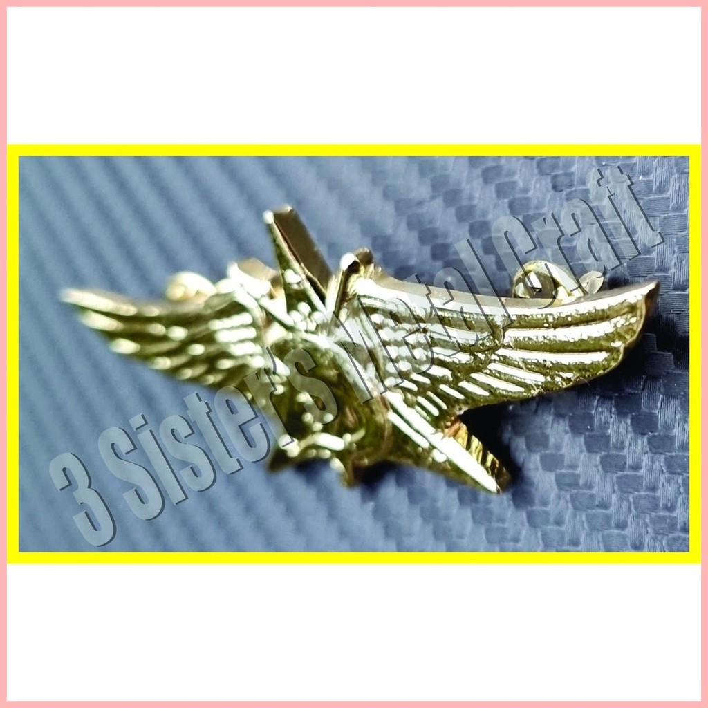 Philippine Navy Naval Special Operations Group Badge, Molder type ...