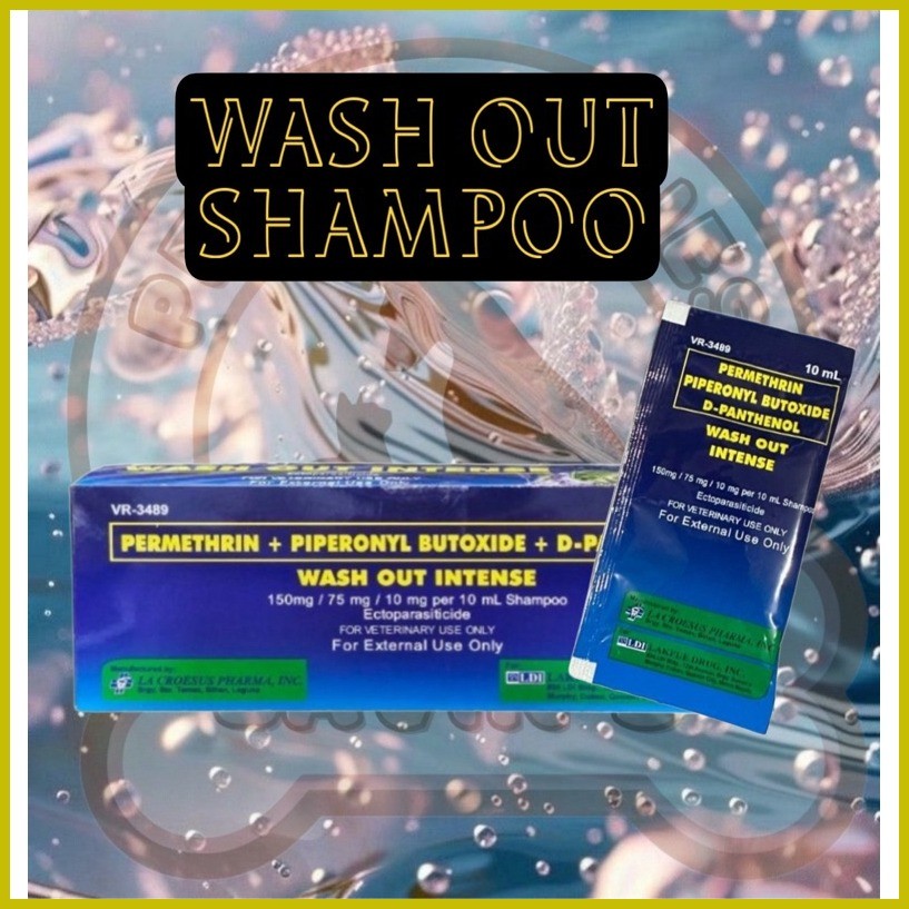 ஐ ☌ WASH OUT INTENSE SHAMPOO 1 BOX ( 24 SACHETS ) | Shopee Philippines