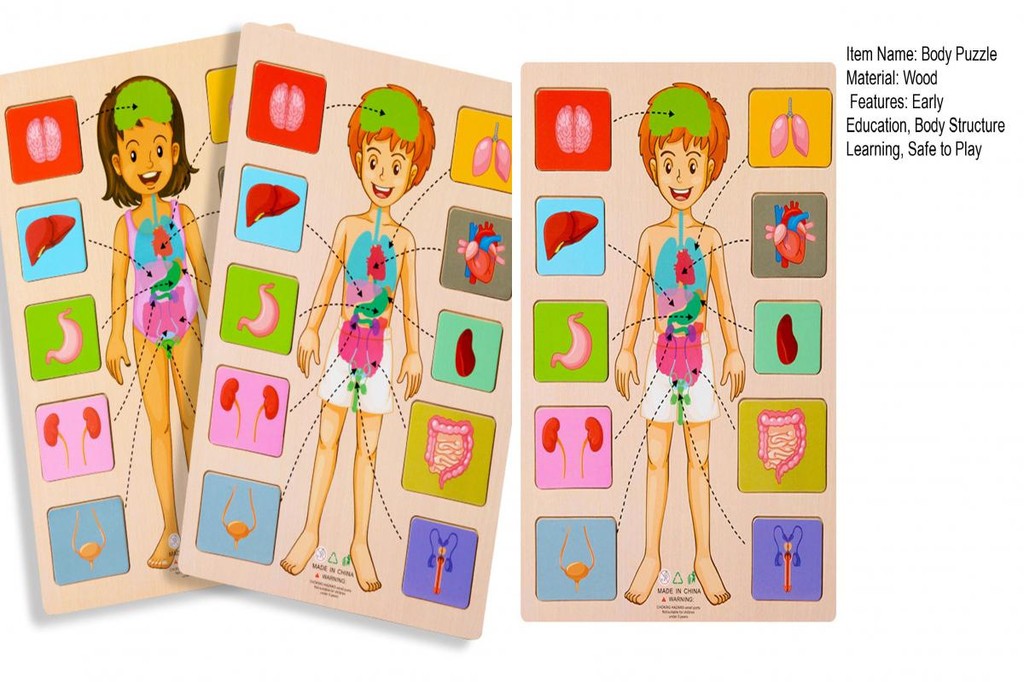 Anatomy Learning Puzzle Wooden Body Puzzle Wooden Body Puzzle Game for ...