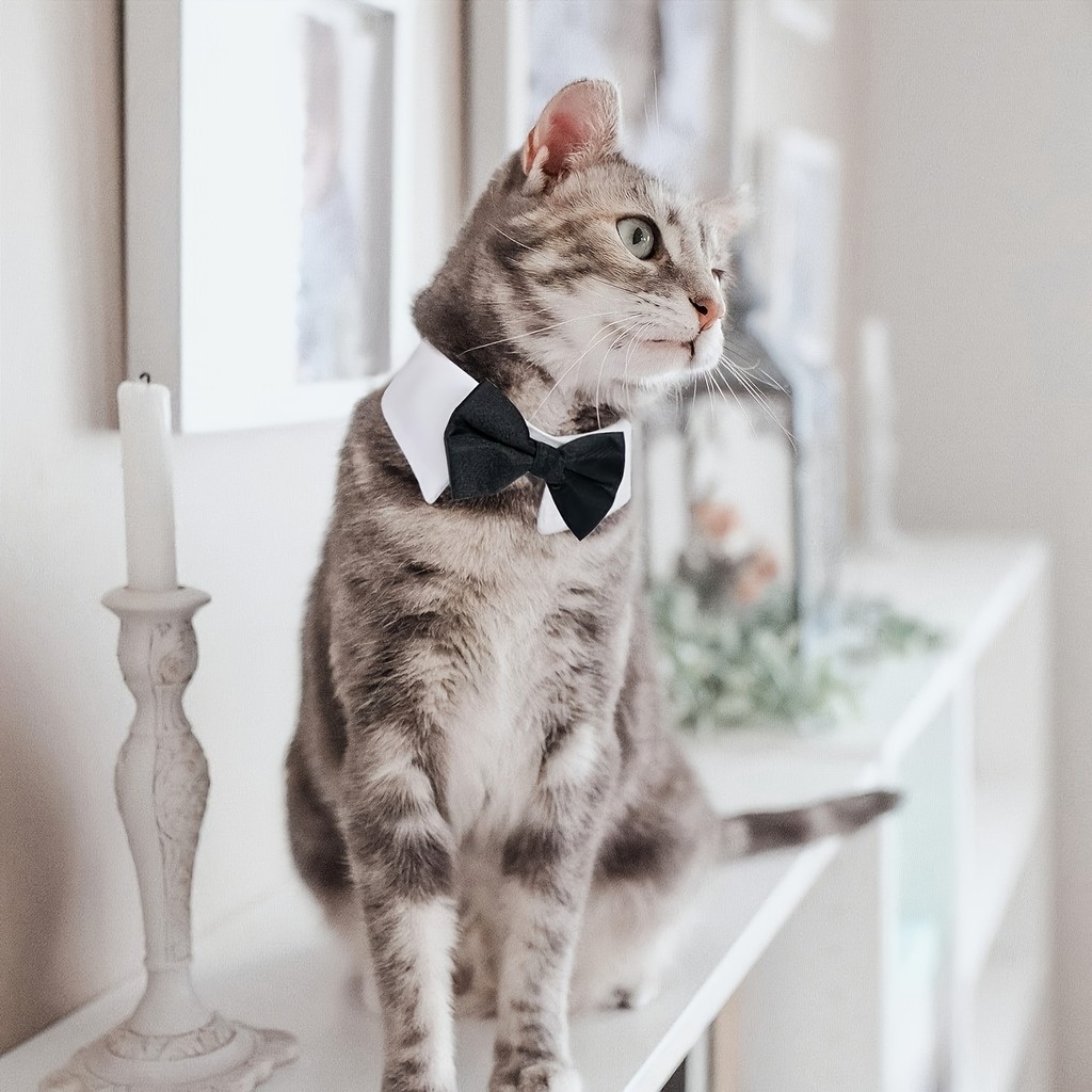 2pcs Cat Bow Tie Black Cat Bow Tie Collar Dog Cute Bow Tie Cat Collar ...