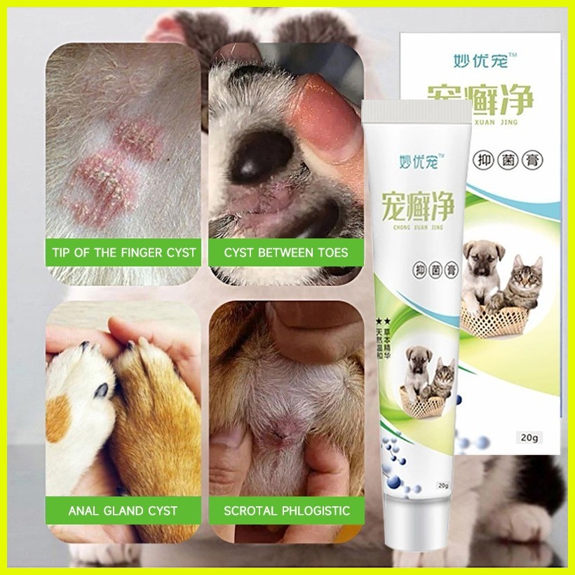 Dog Ointment For Skin Disease Ringworm Ointment For Cat Dog Anti Fungal ...