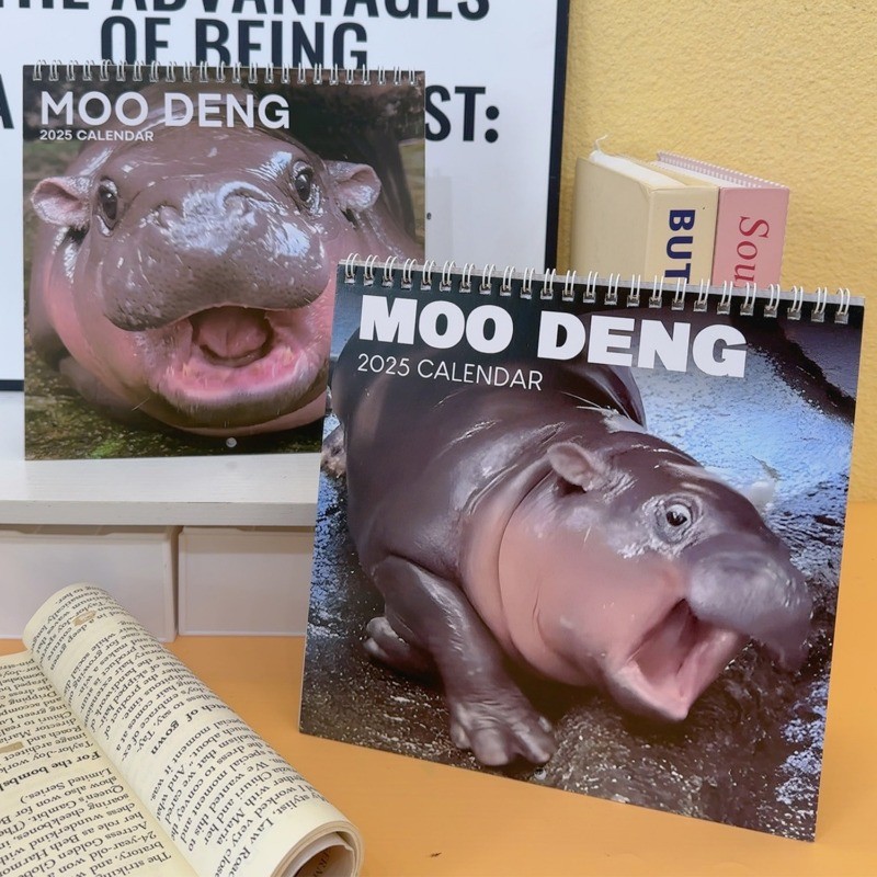 2025 Fun Cute Internet Celebrity Dwarf Hippopotamus Calendar- Modern ...