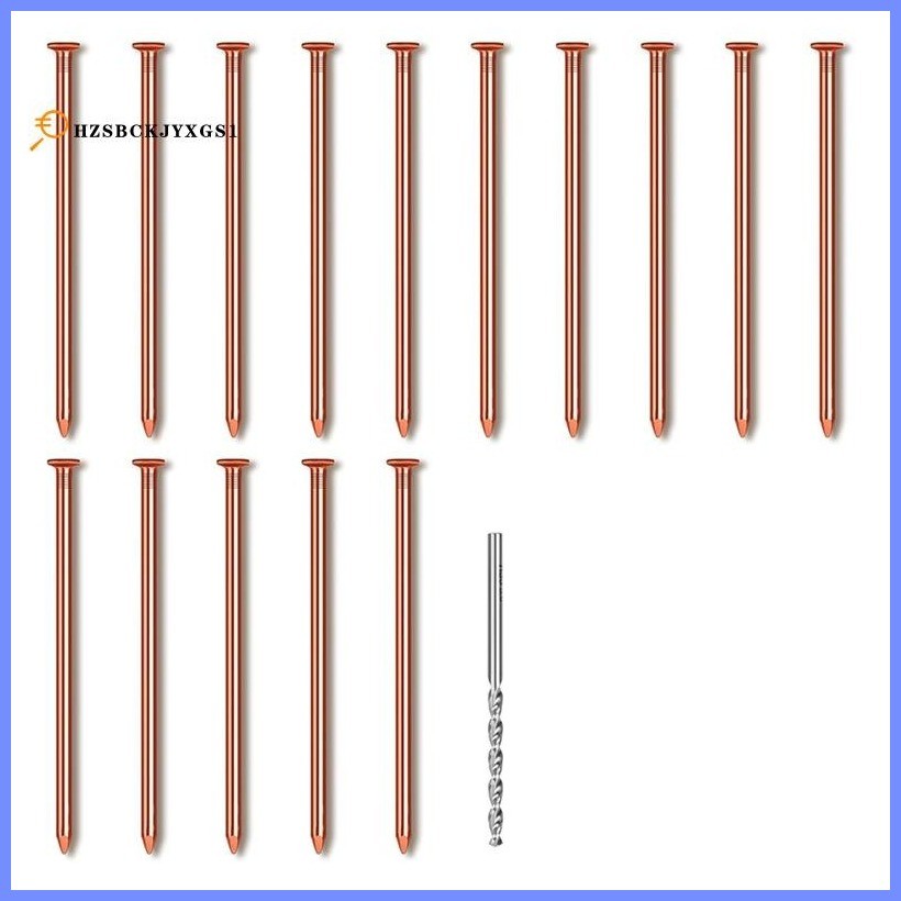 15Pcs Copper Nails for Killing Trees Stump Root, 3.14 Inch Long Pure ...