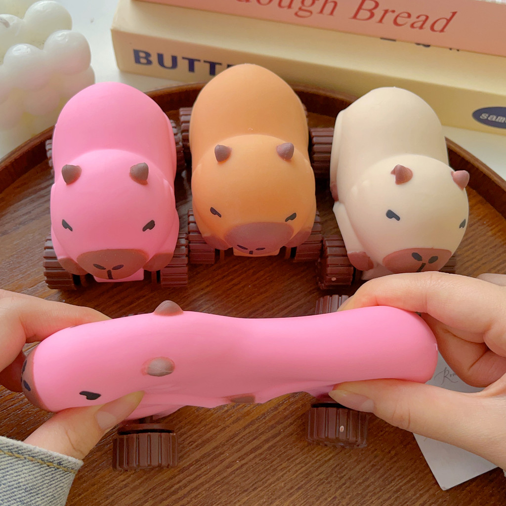 Interesting Hand Pulling Deformation Capybara Car Interactive Toy ...