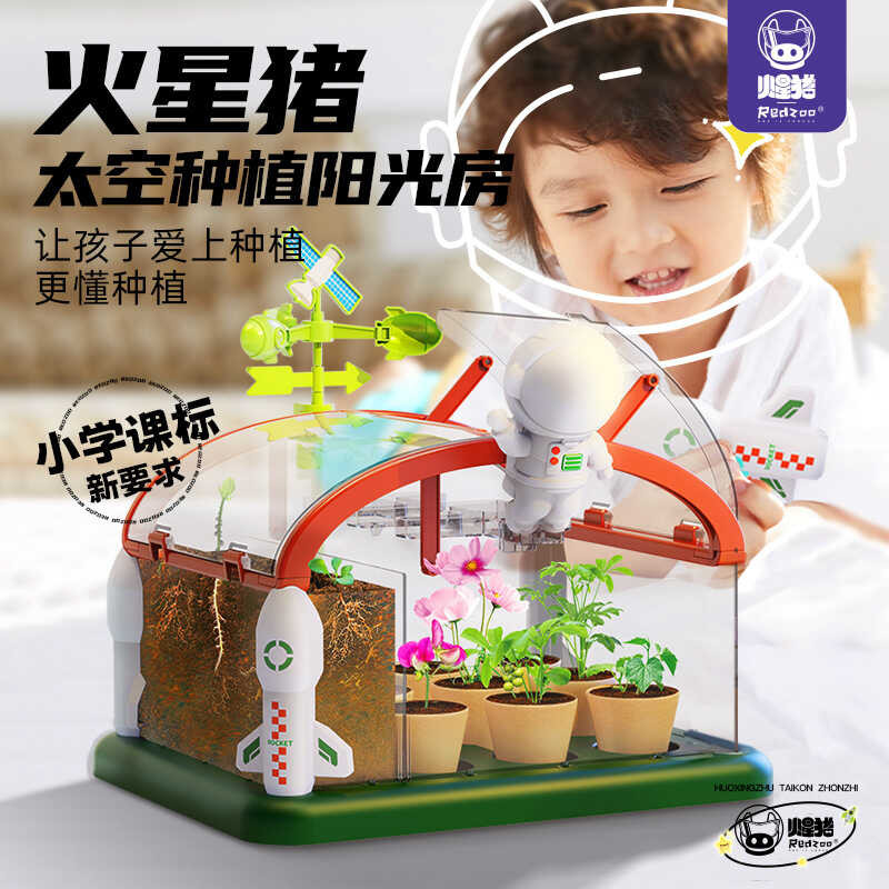 Mars Pig 48 3 Sunshine Room Children's Blind Primary School Students ...