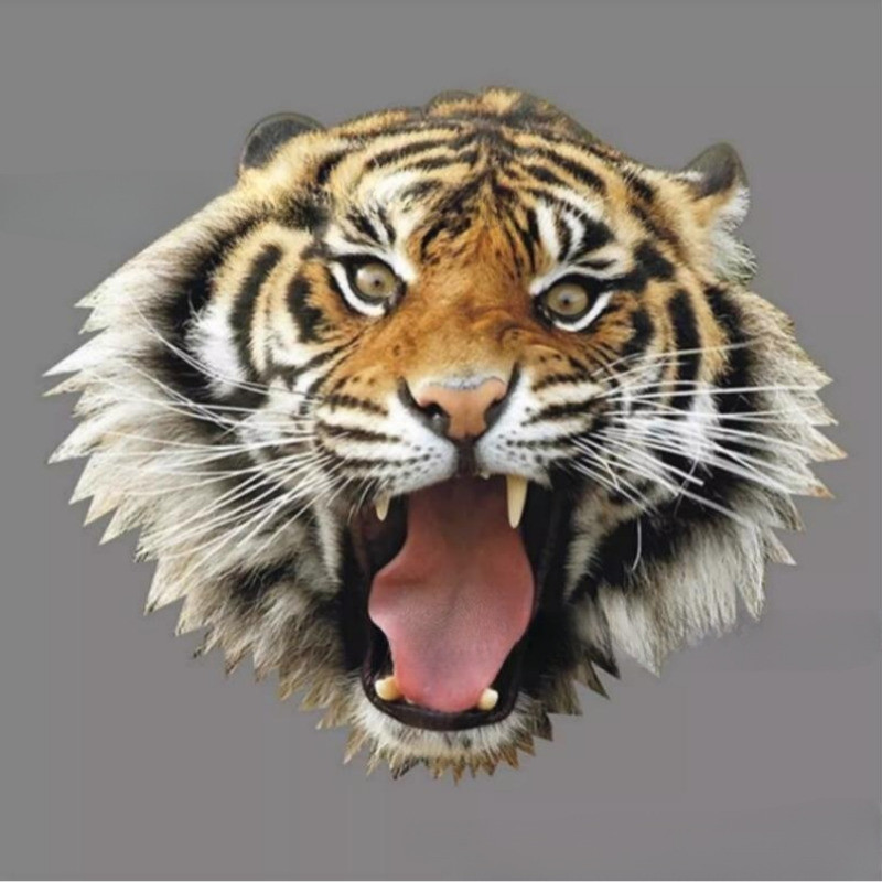 Backpack car spare tire stickers FOR Toyota RAV4 | Shopee Philippines