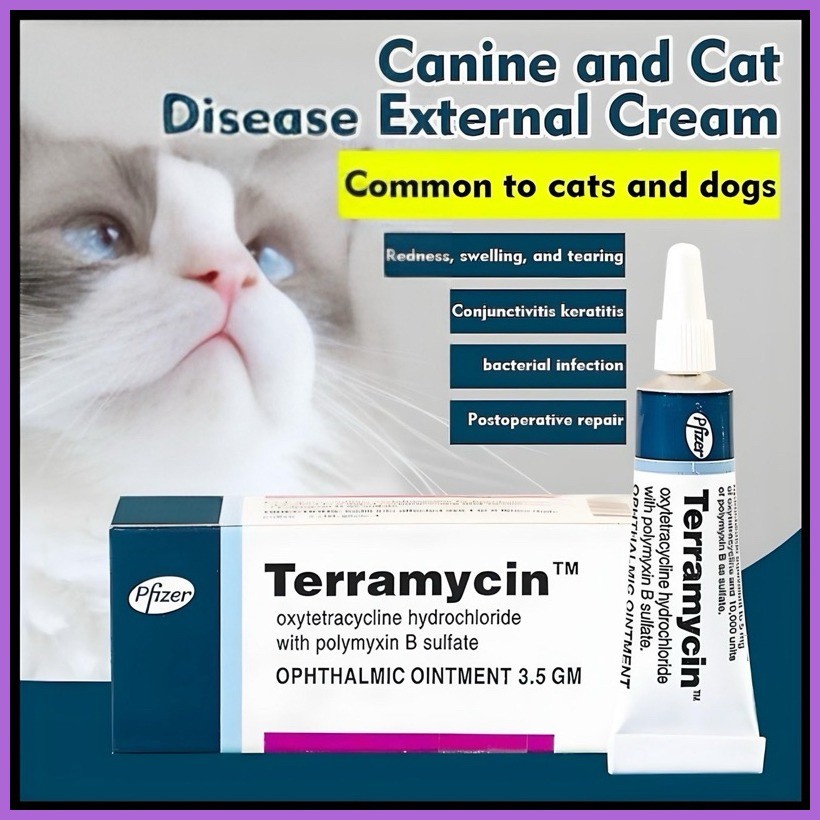 Terramycin Ophthalmic Ointment Conjunctiva for Dog and Cat for Eye ...