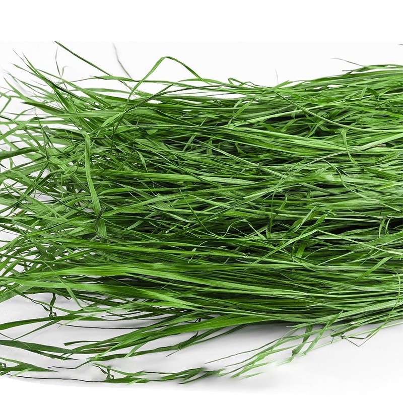 30g Timothy hay seeds Alfalfa seeds Rabbit feed grass forage Timothy ...