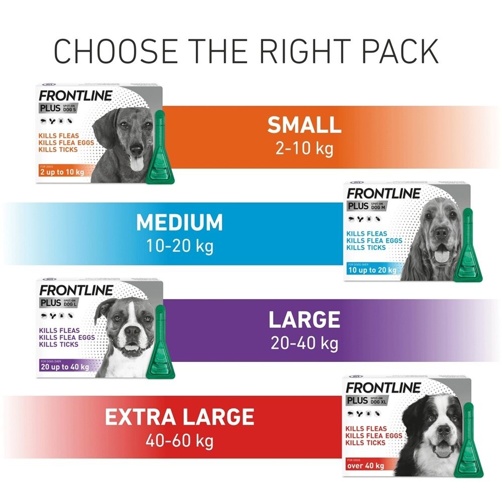 Frontline Plus for Cats Spot On Flea Tick Lice Treatment Anti-Itching ...