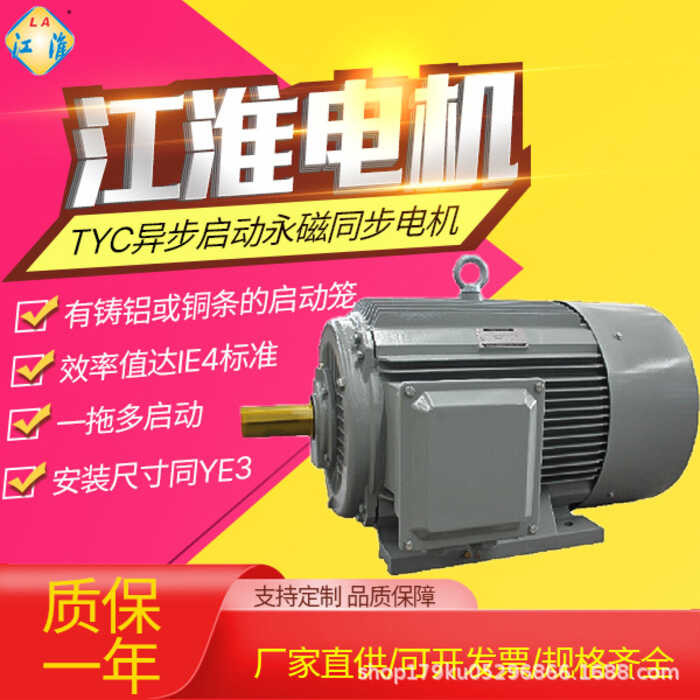Lu'an Jianghuai Motor TYC asynchronous starting three-phase permanent ...