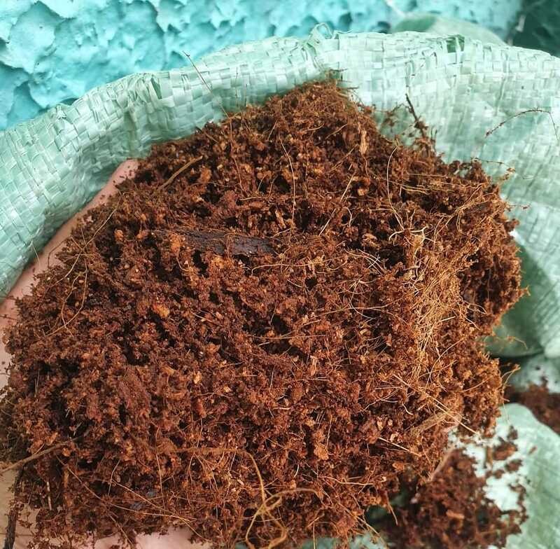Pure Coco Peat ( 5Kg )Ready To Use For All Types Of Plants ( Lowest ...