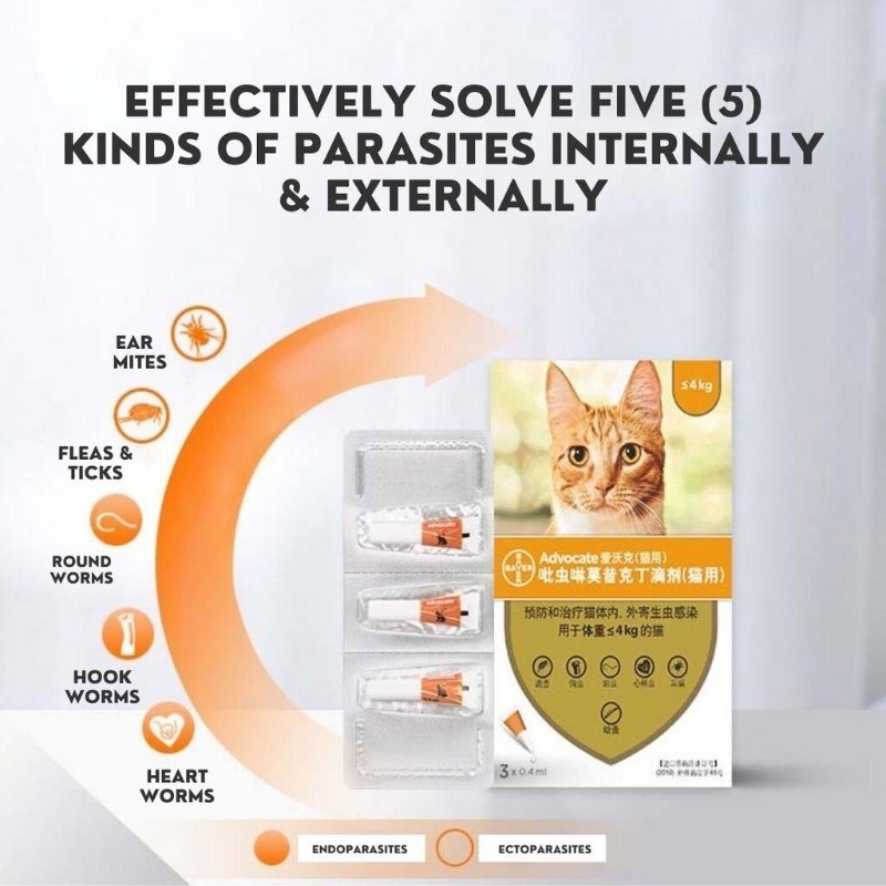 Bayer Advocate for Cats Flea and Tick Treatment for Cats Internal and ...