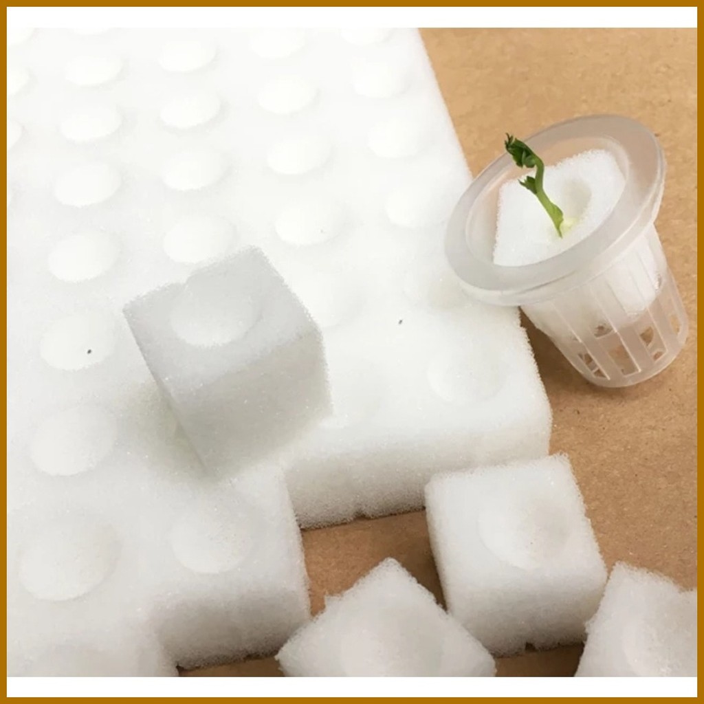 Horticultural Foam/Hydroponic Seed Growing Media 100 cubes | Shopee ...